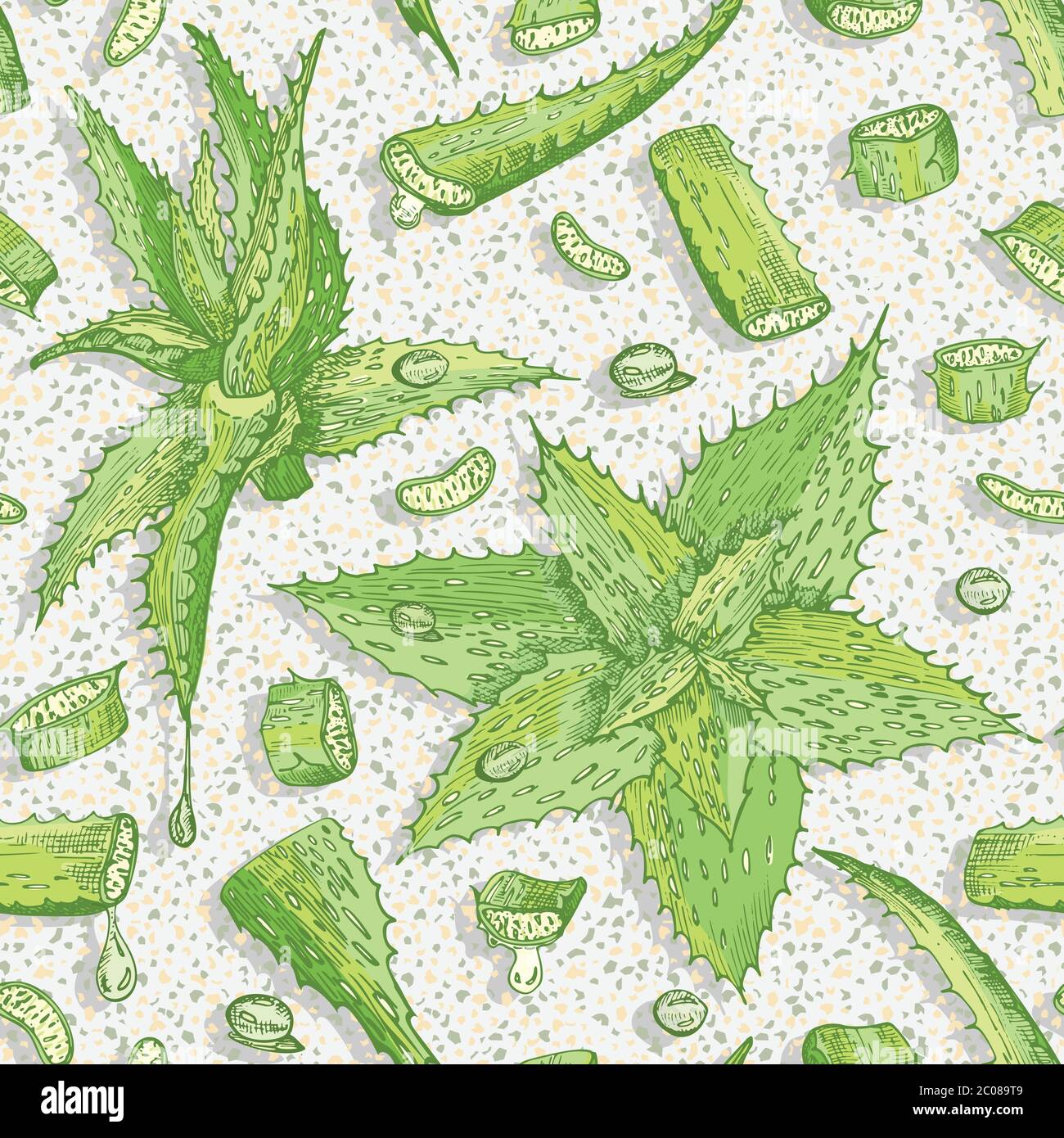 Seamless pattern with hand drawn Aloe vera lives and flower in green ...
