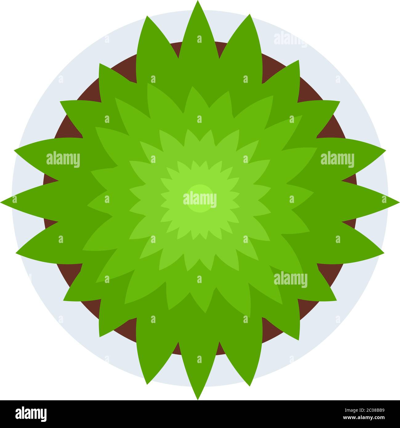 Top view fresh young Stock Vector Images - Alamy