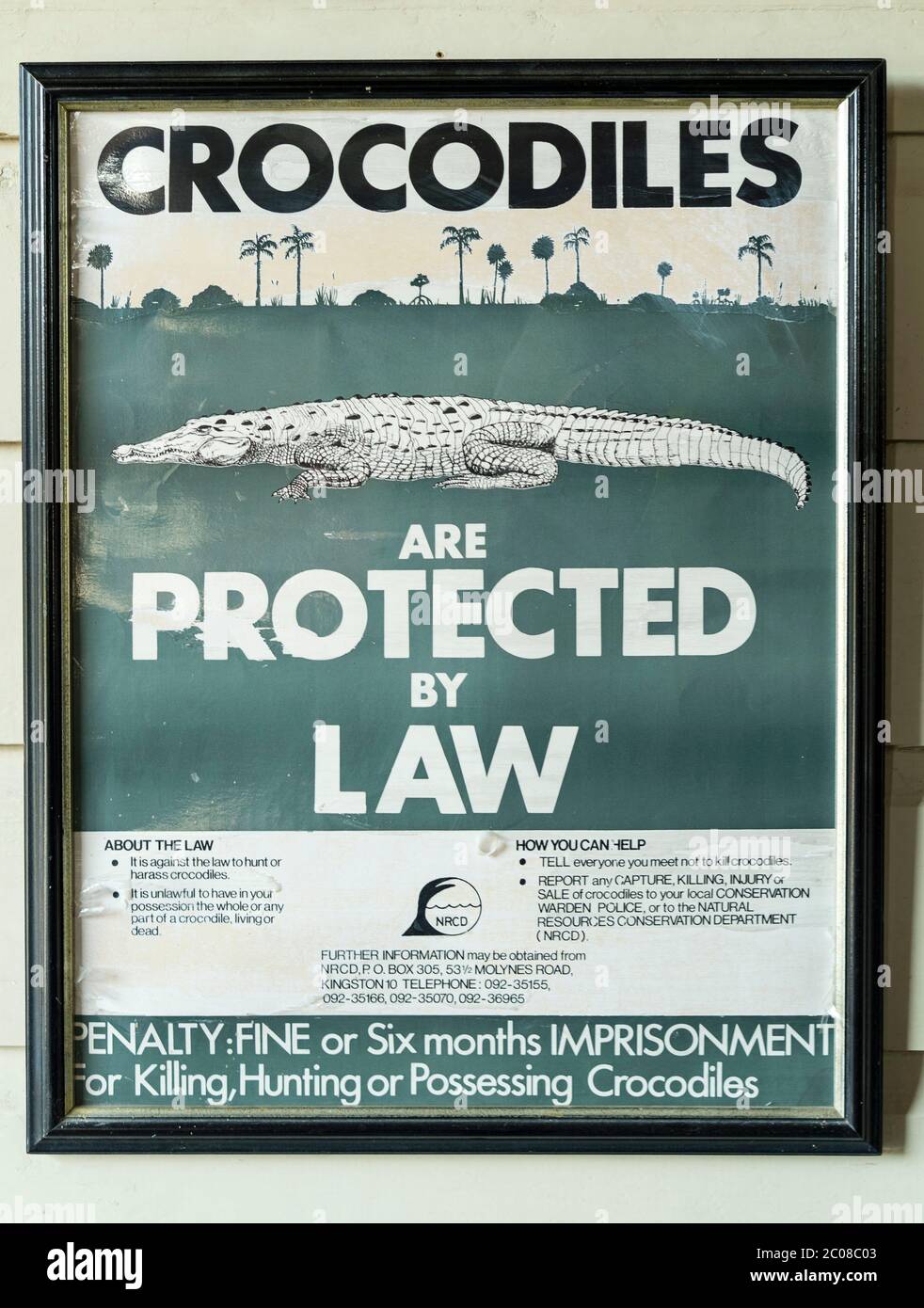 Crocodiles protected sing hi-res stock photography and images - Alamy