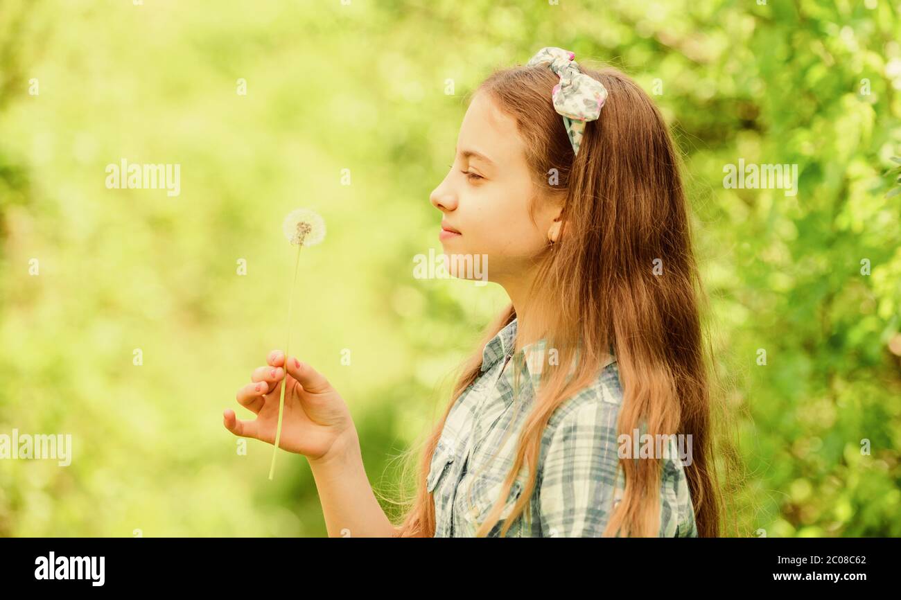 Dandelion full symbolism. Folklore beliefs about dandelion. Having fun ...