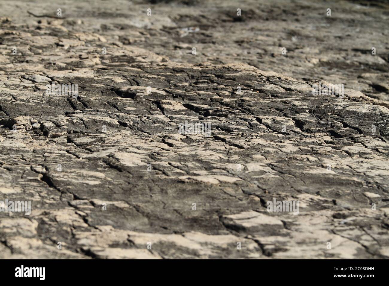 Close up photo of a dry land Stock Photo - Alamy