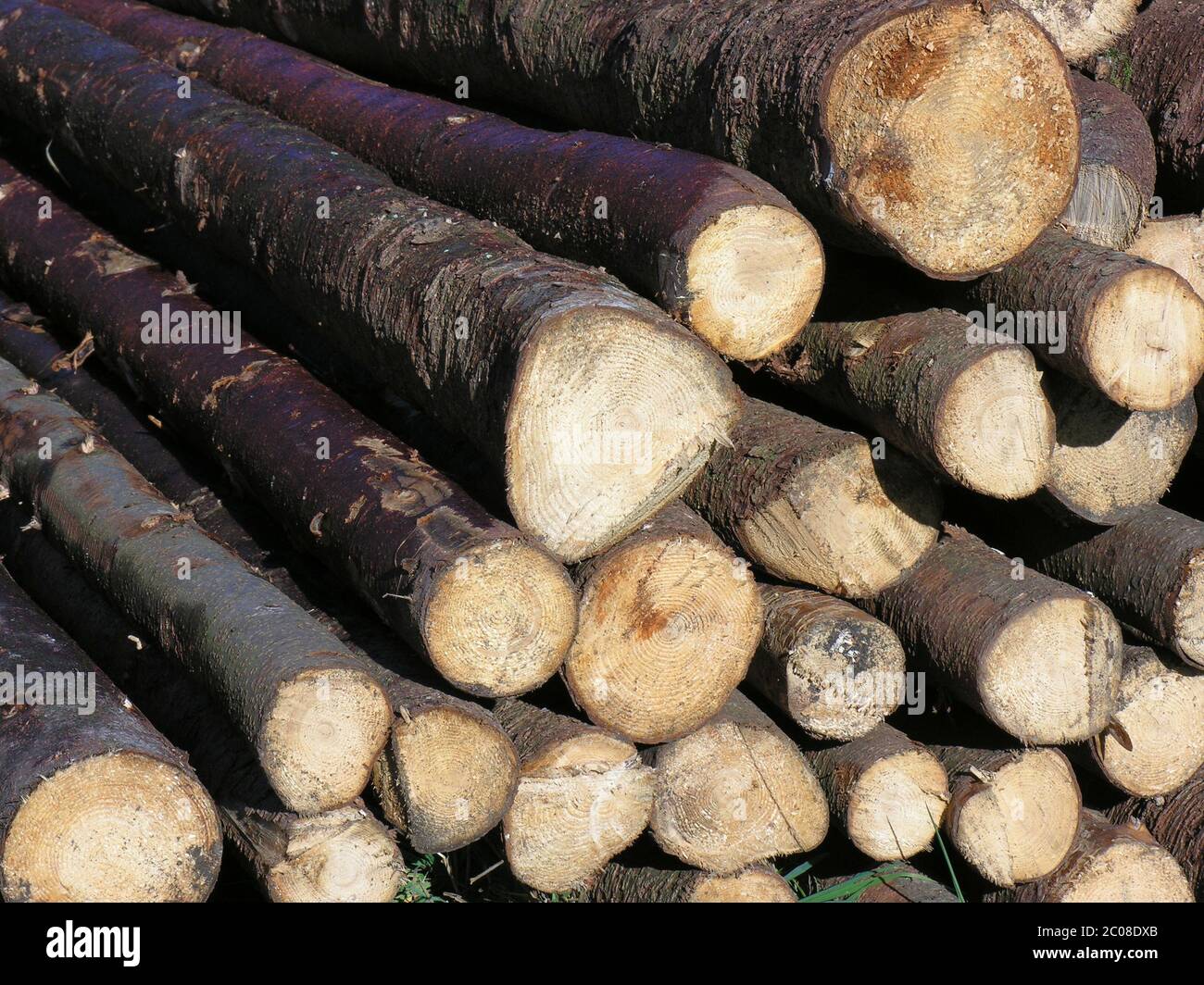 Boles hi-res stock photography and images - Alamy