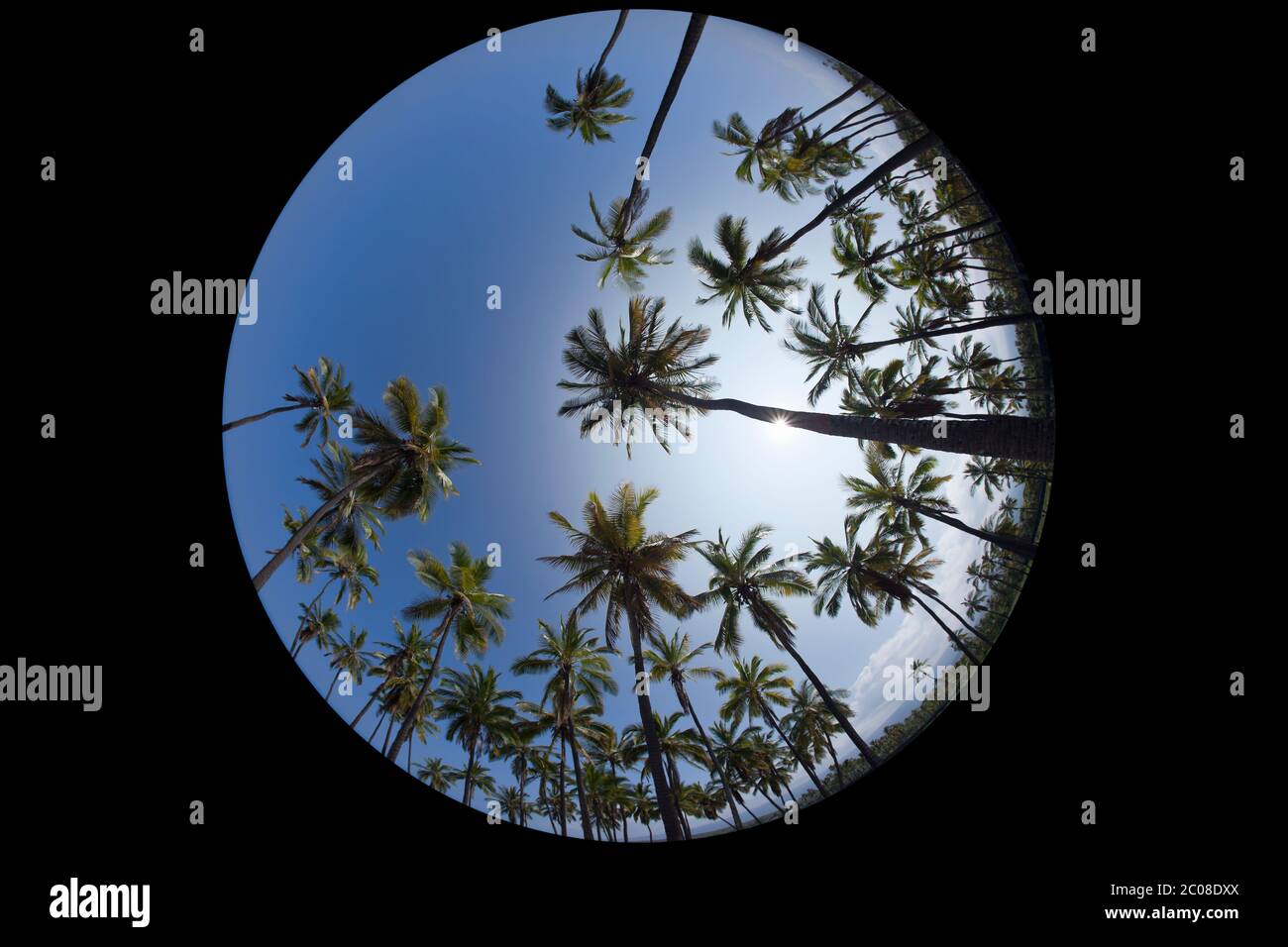 O lens hi-res stock photography and images - Alamy