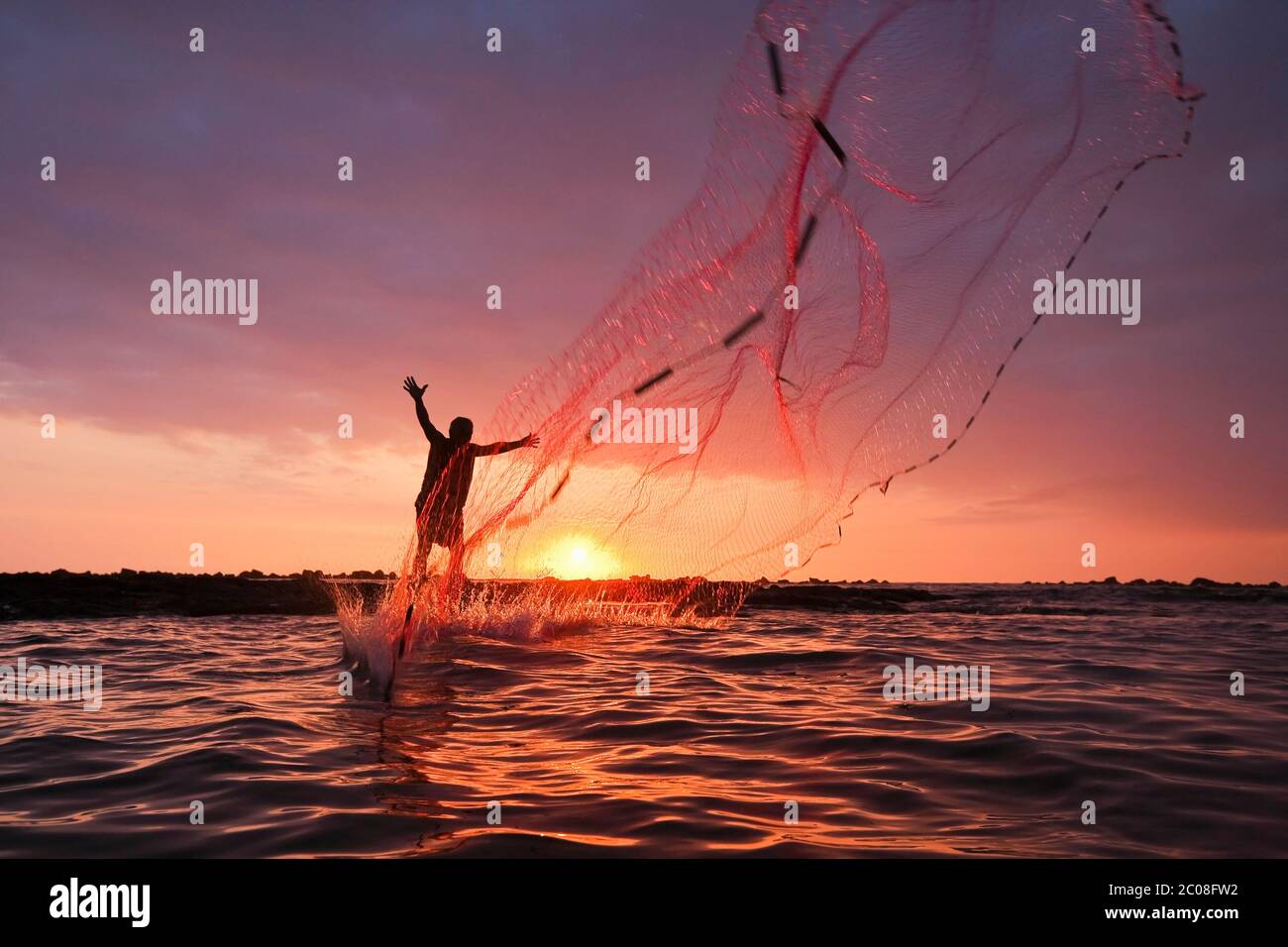 Hawaiian fish hi-res stock photography and images - Alamy