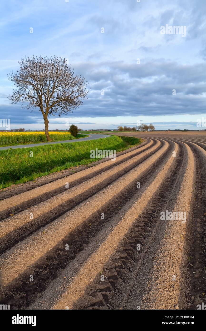 Groningen field hi-res stock photography and images - Alamy