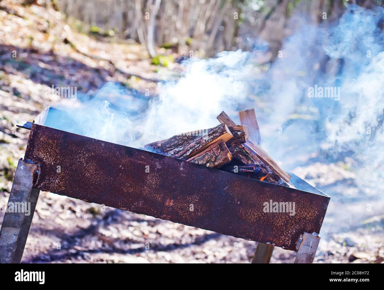 barbecue in the forest Stock Photo - Alamy