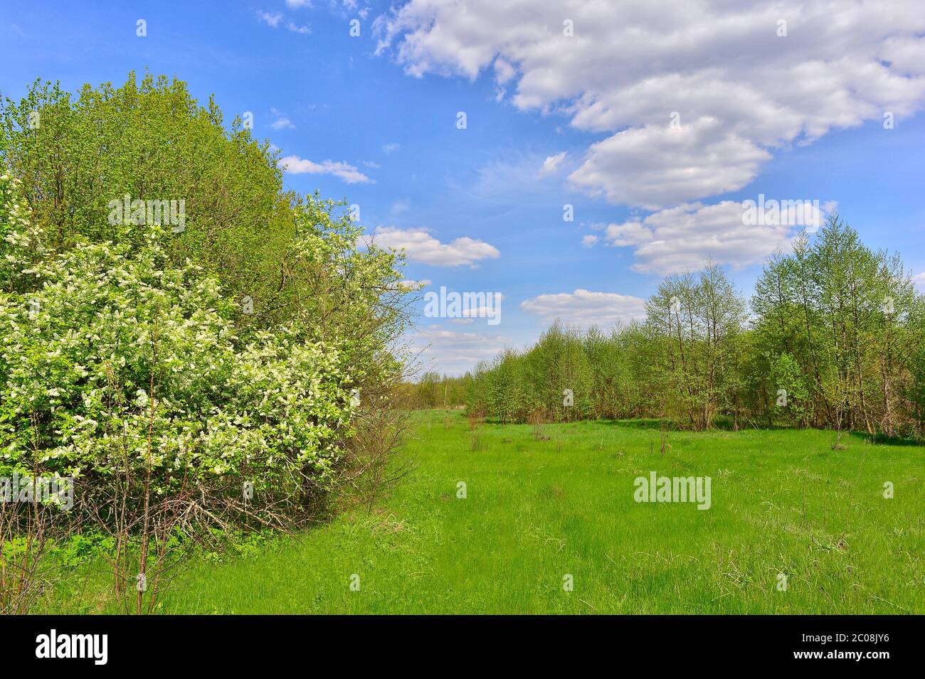 Earth cherry hi-res stock photography and images - Alamy