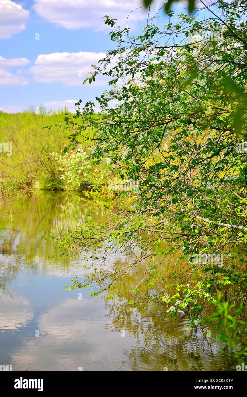 Spring landscape with the river Stock Photo - Alamy