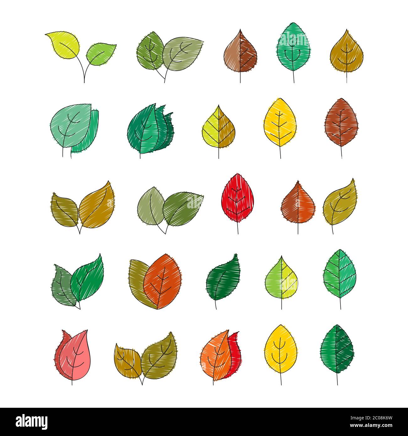 Vector color set of leaves in the Doodle style for design and ...