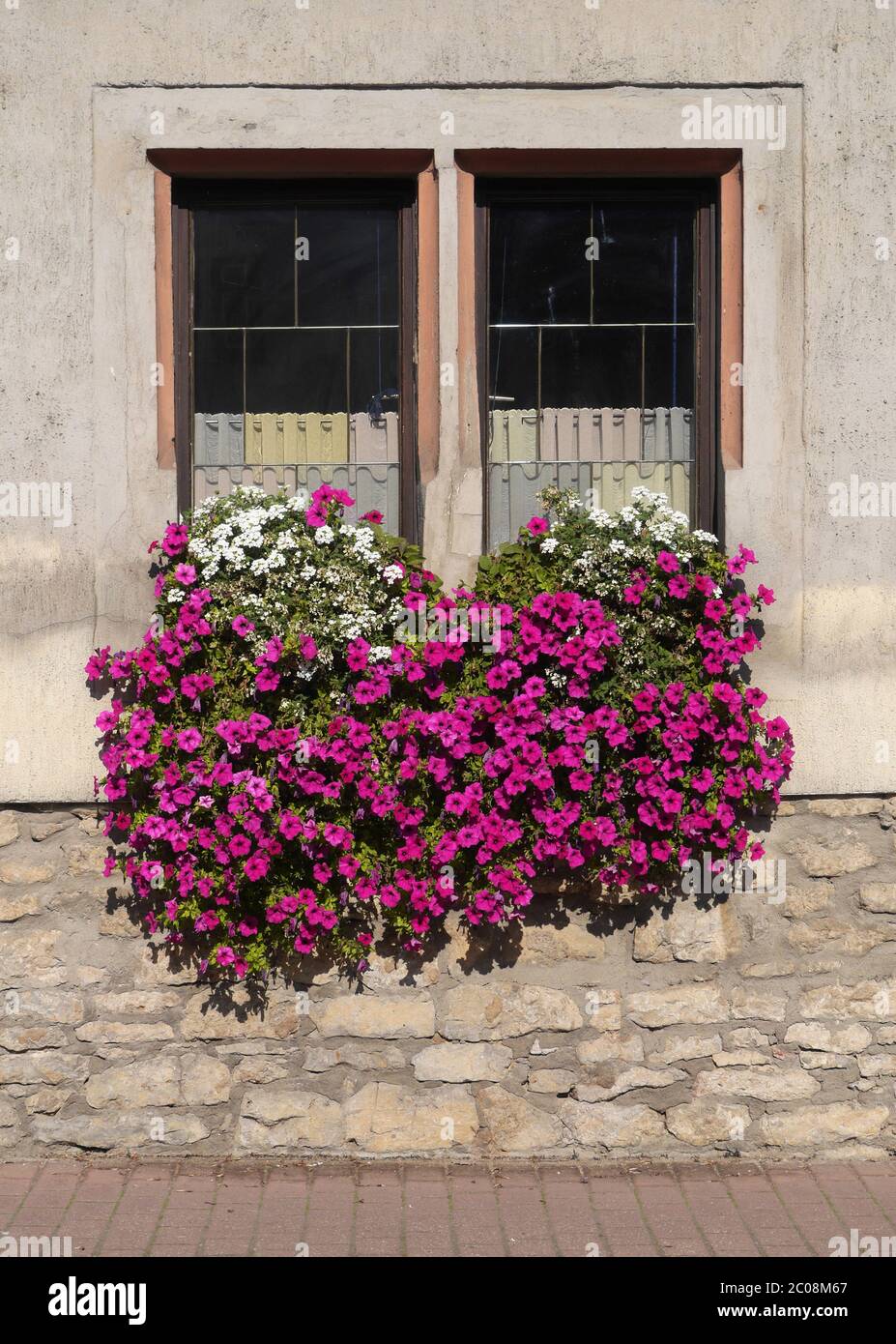 windows with windowboxes Stock Photo - Alamy