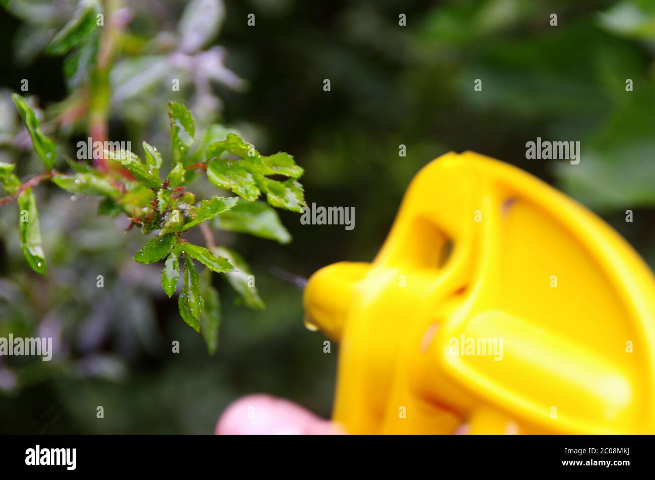 Vermin exterminator hi-res stock photography and images - Alamy