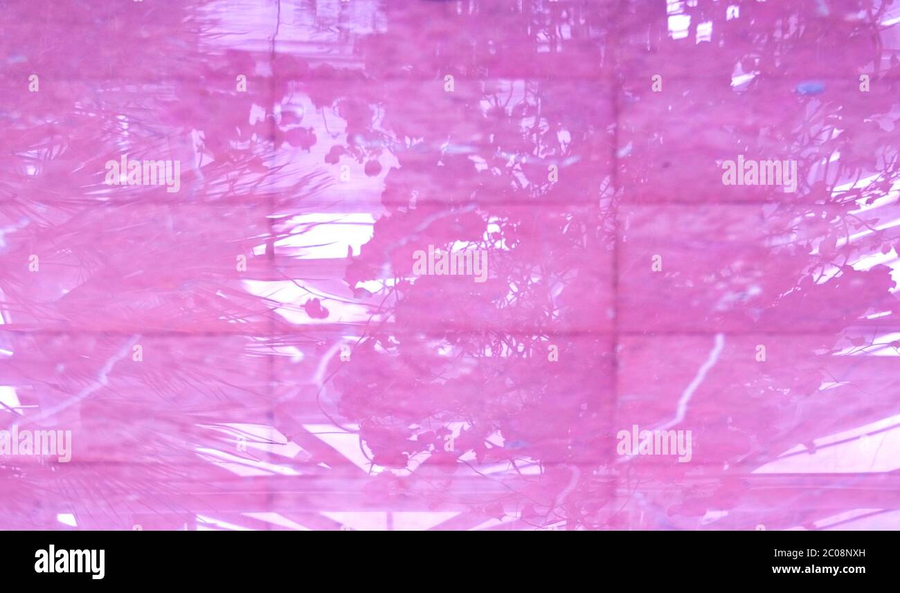 Pink reflection background Stock Photo - Alamy