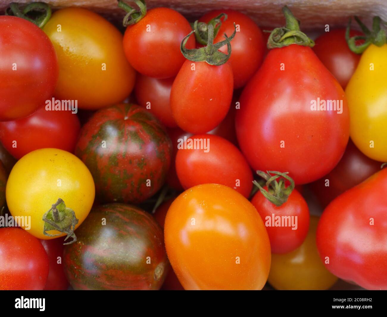 Tomato paradise hi-res stock photography and images - Alamy