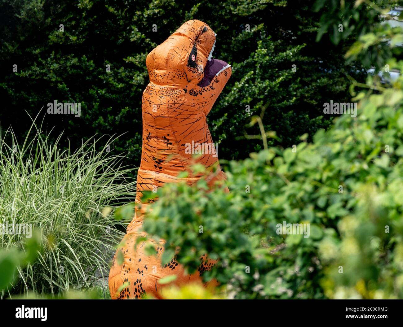 Monster in the garden Stock Photo - Alamy