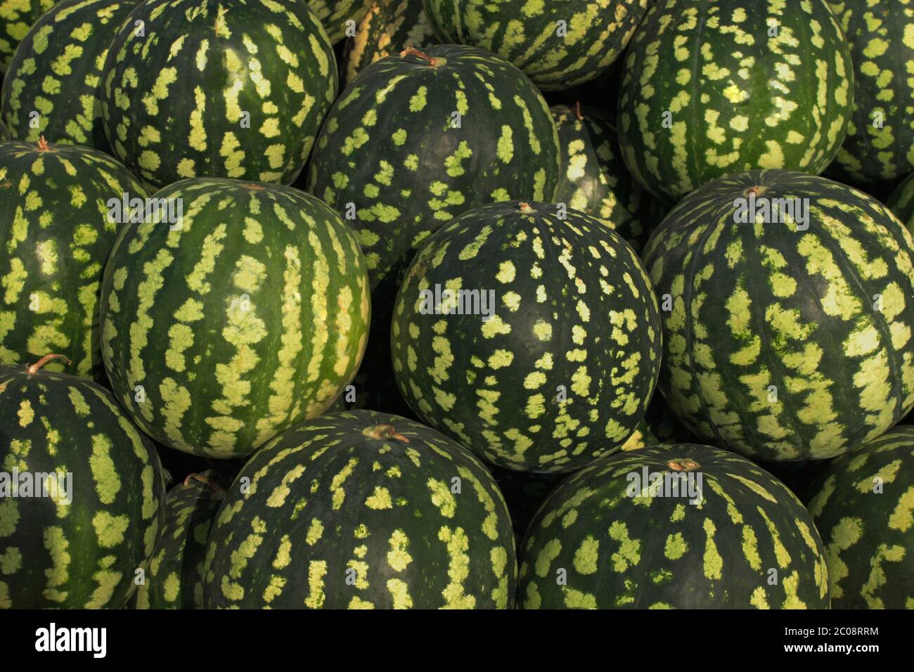 Large and green watermelons Stock Photo - Alamy