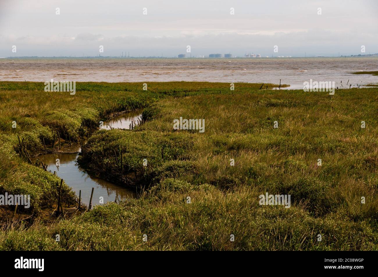 Two Tree island nature reserve, Essex, UK Stock Photo - Alamy