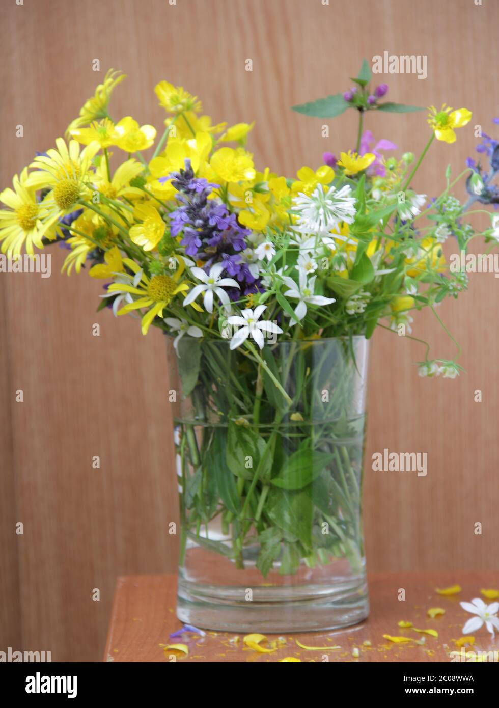Bouquet of spring wild flowers in a transparent mu Stock Photo - Alamy
