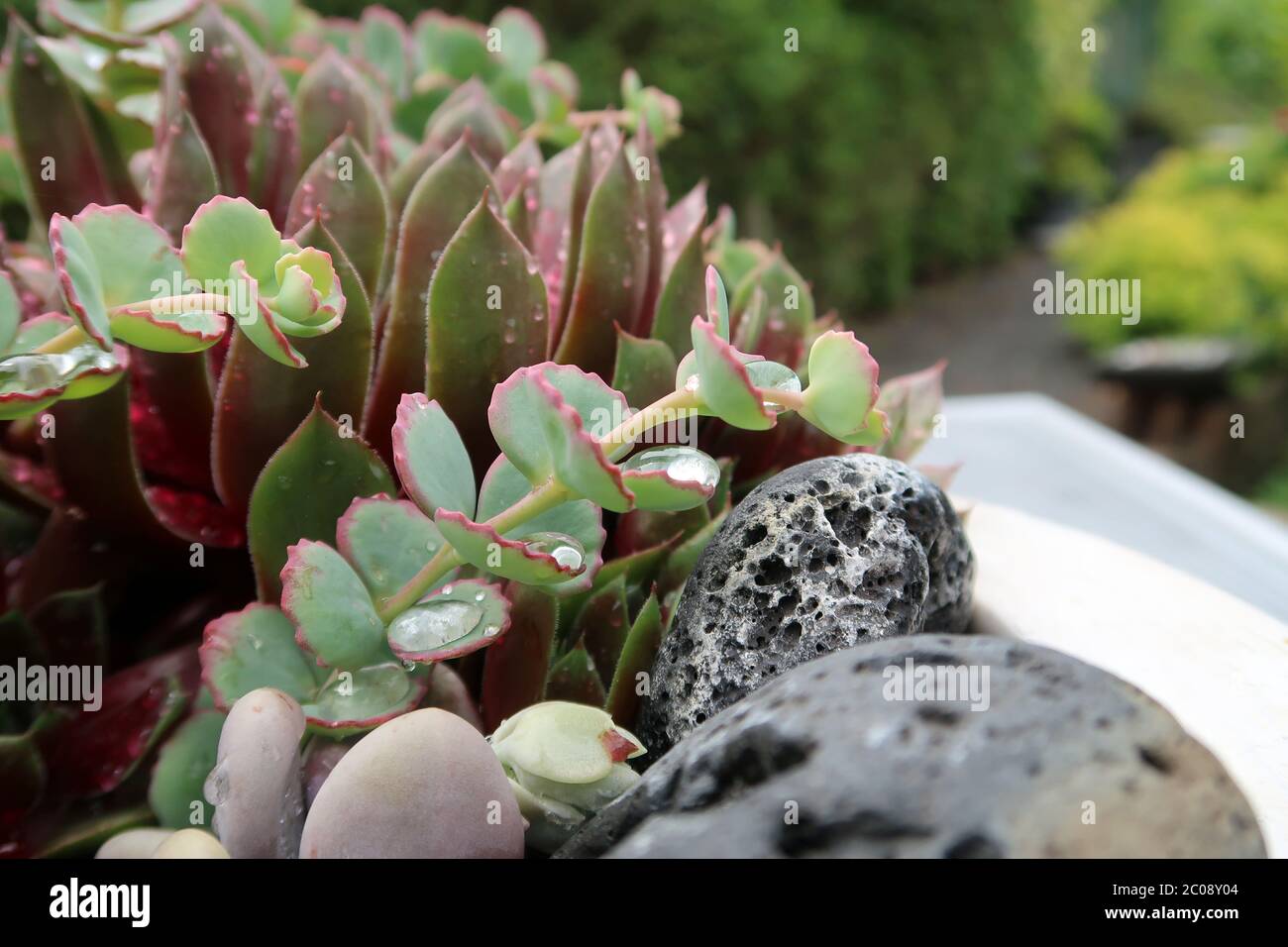 Collect rain water hi-res stock photography and images - Alamy