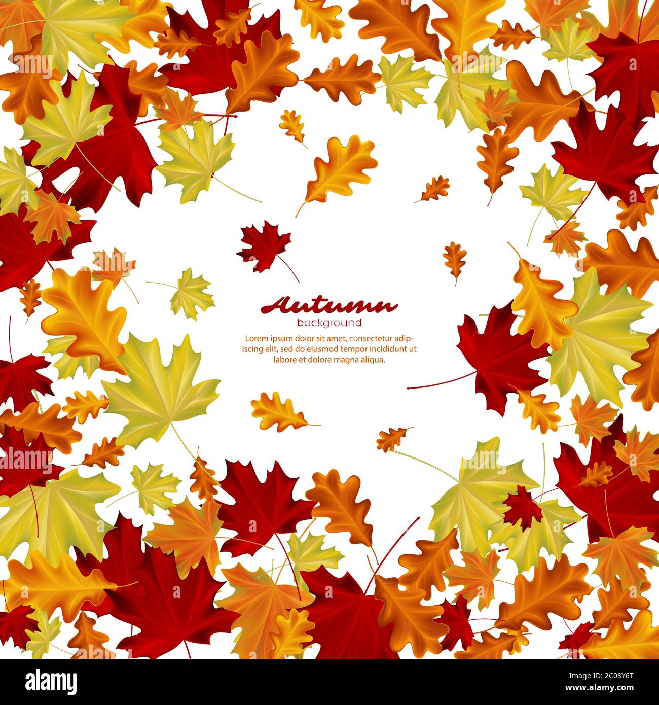 Autumn leaves on white background Stock Vector Image & Art - Alamy