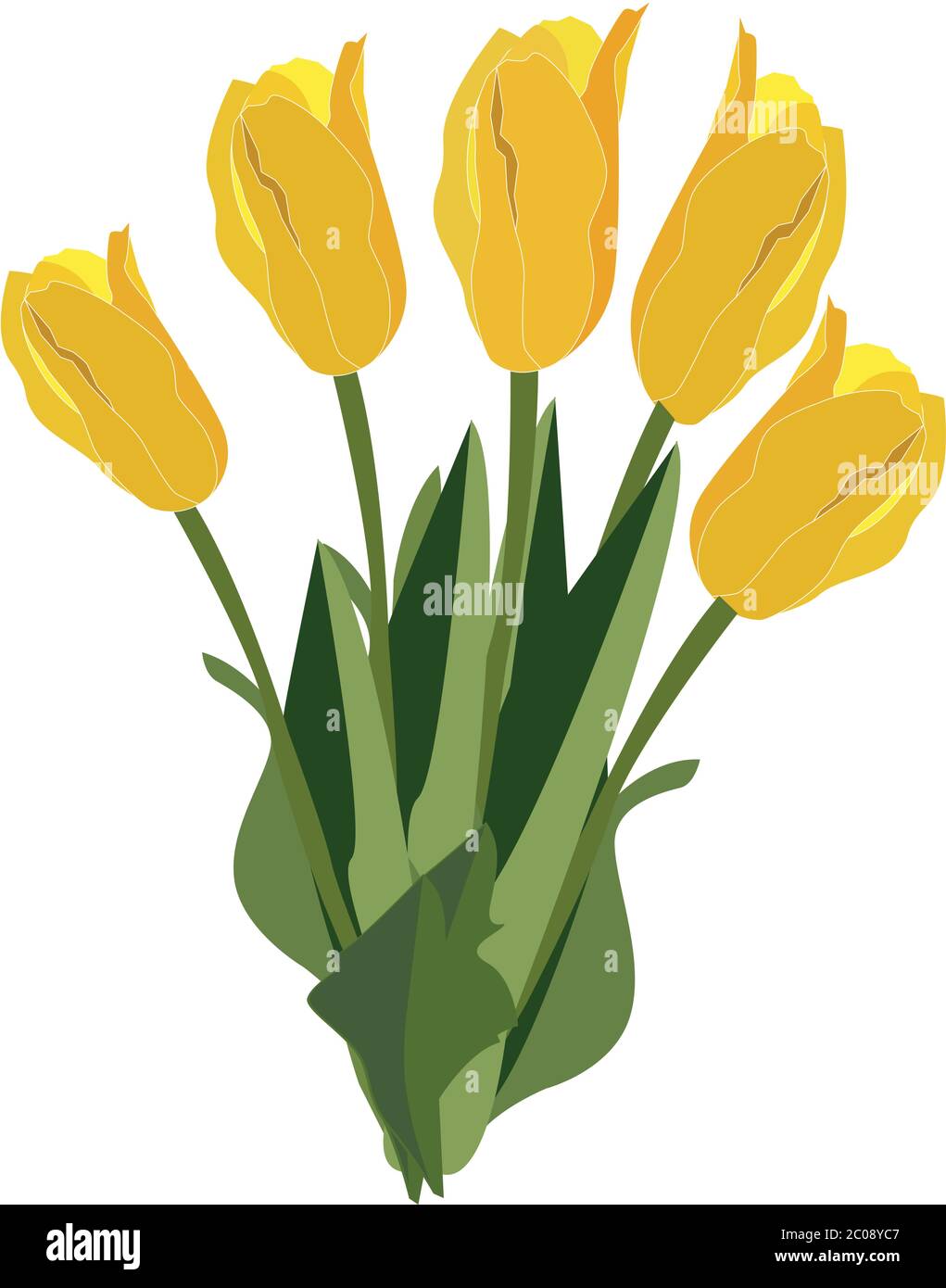Yellow Tulip flower vector illustration Stock Vector Image & Art - Alamy