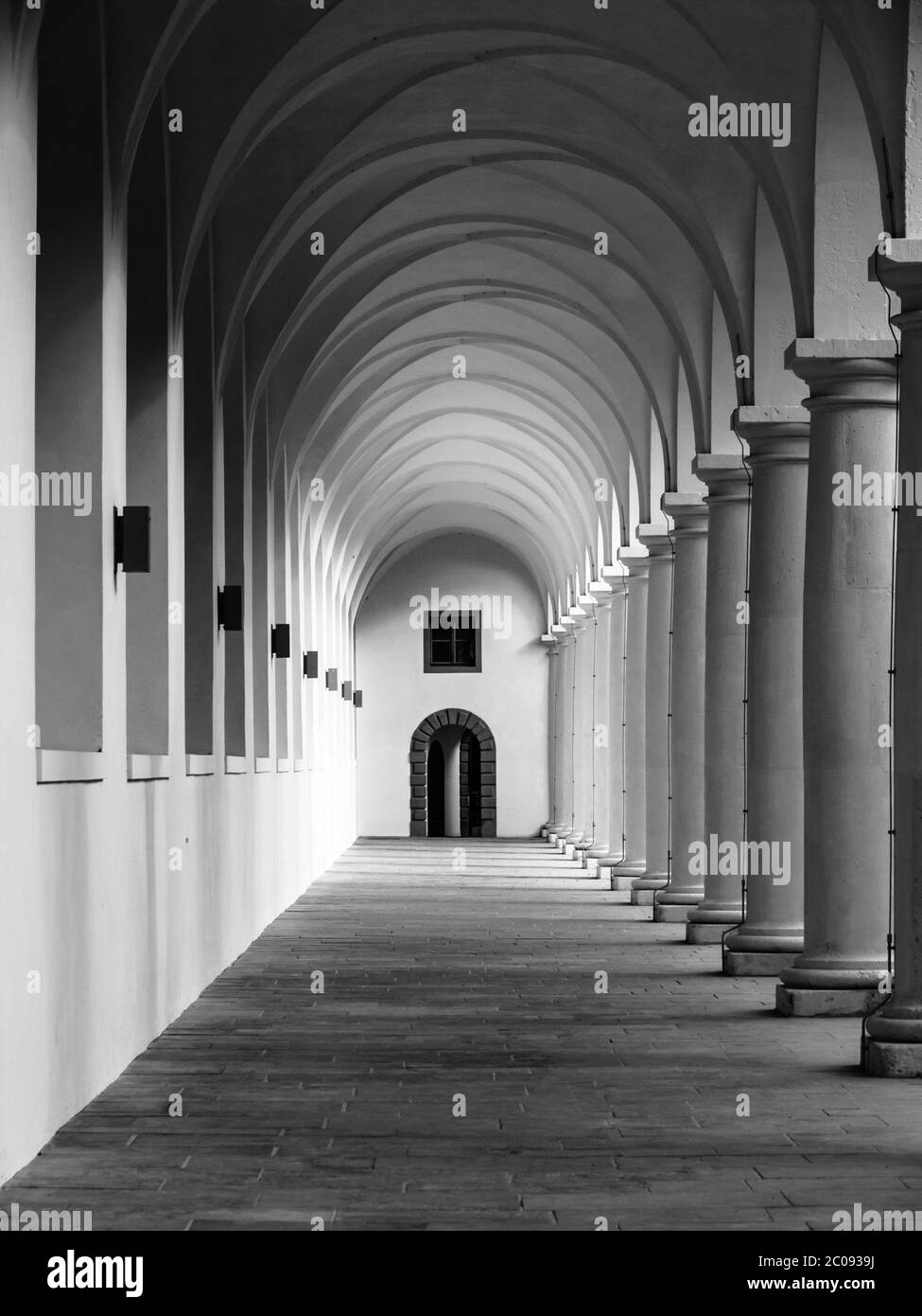 Corridor archway with white columns and small door at the end. Black ...