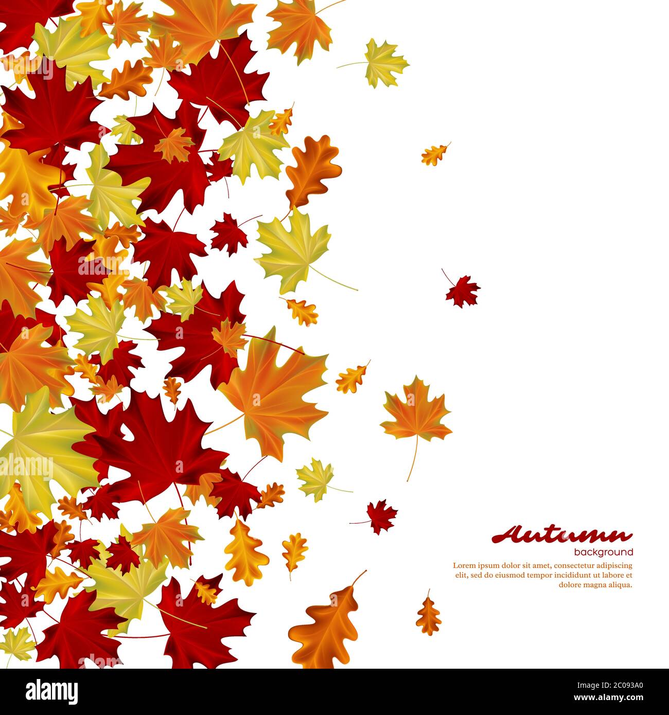 Autumn leaves on white background Stock Vector Image & Art - Alamy
