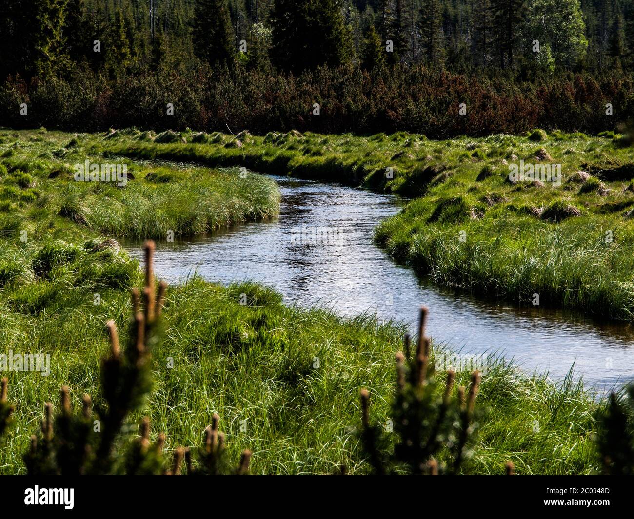 Meandering Jizera river in Jizera mountains (Czech Republic Stock Photo ...