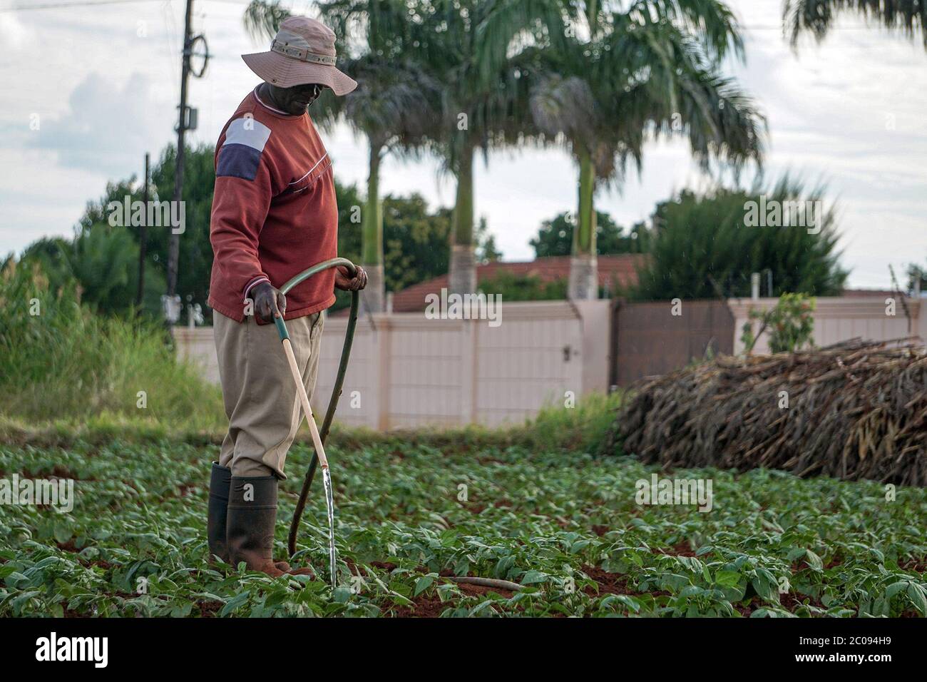 Farmer crop zimbabwe hi-res stock photography and images - Alamy