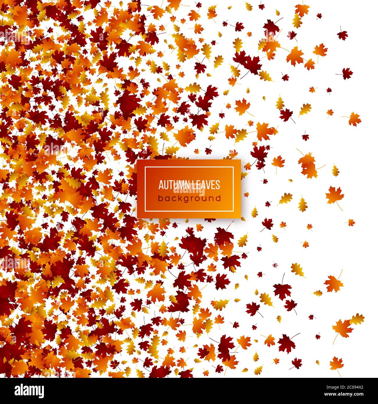 Autumn leaves on white background Stock Vector Image & Art - Alamy