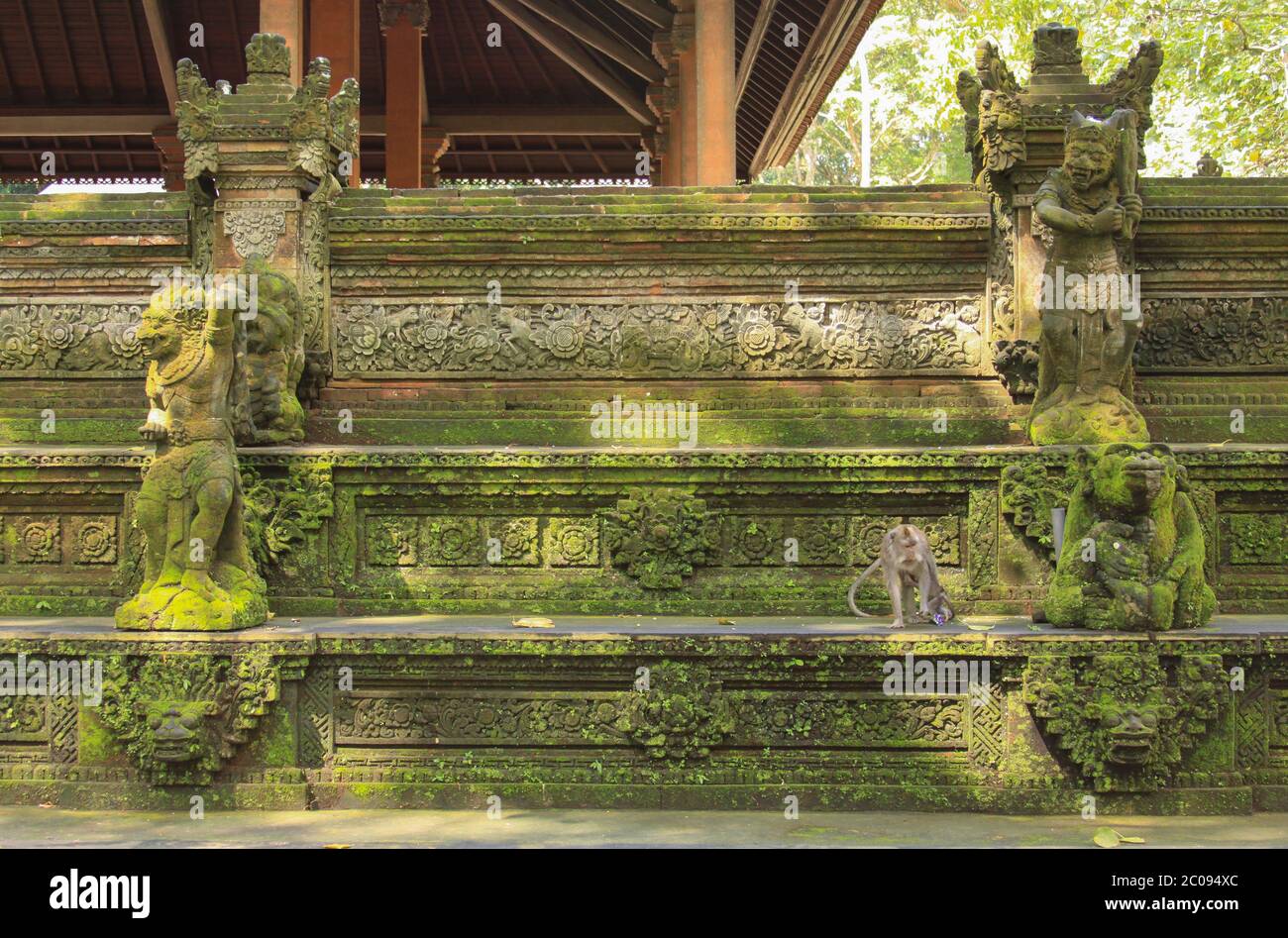 Macaque on the temple steps at Ubud Monkey Forest, Bali, Indonesia ...