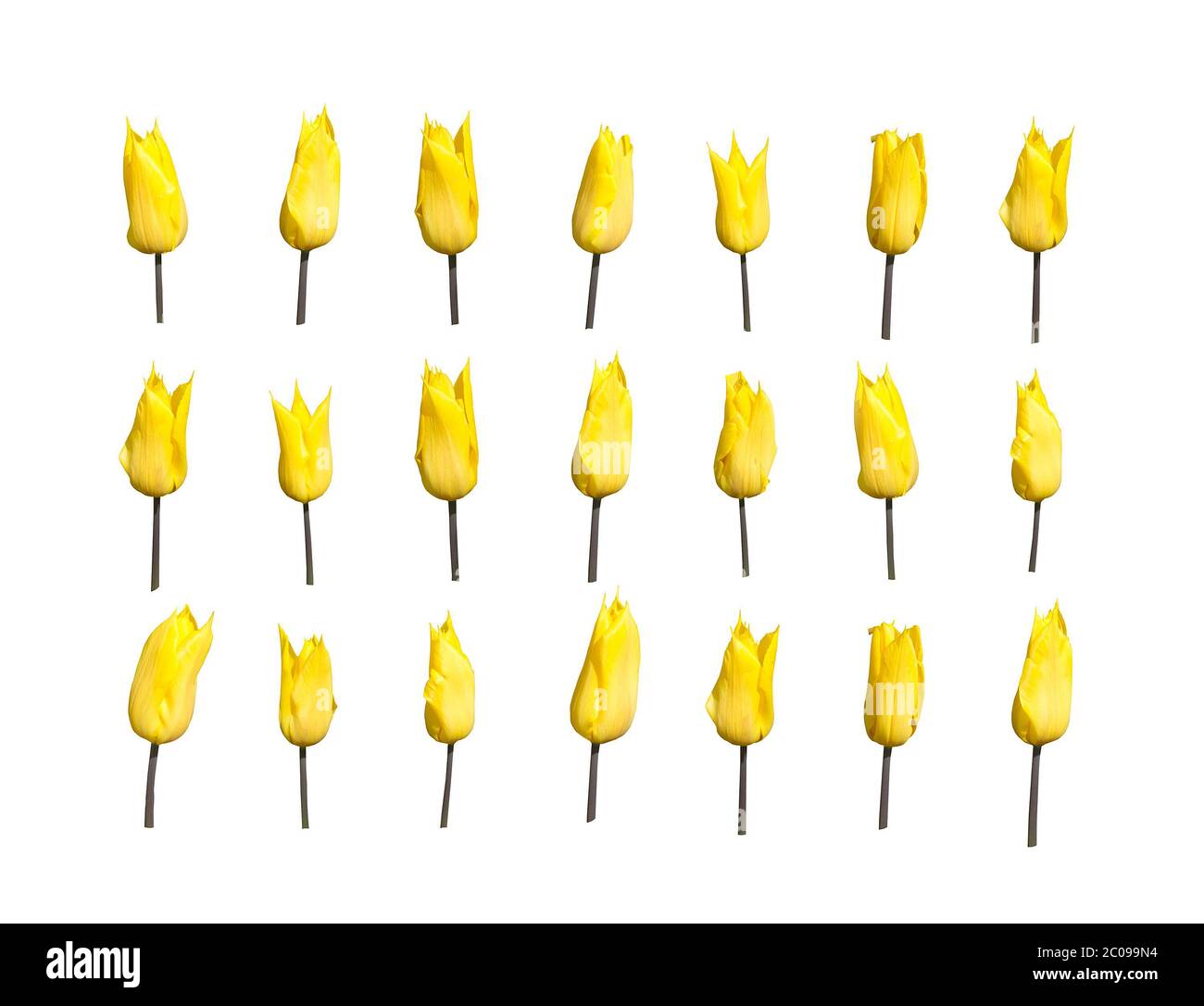 Decorative margin hi-res stock photography and images - Alamy