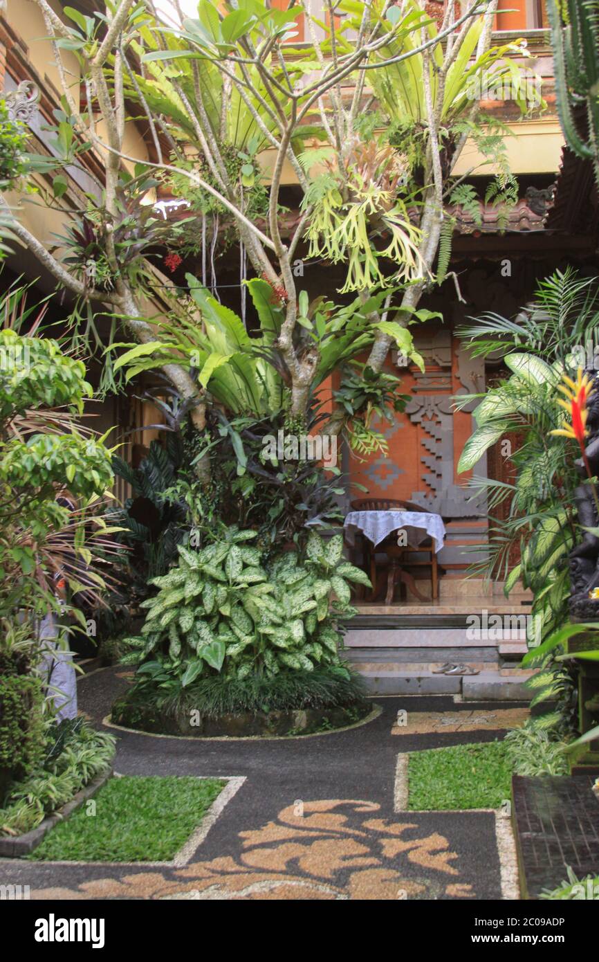 Interior of traditional balinese garden landscaping detail vertical ...