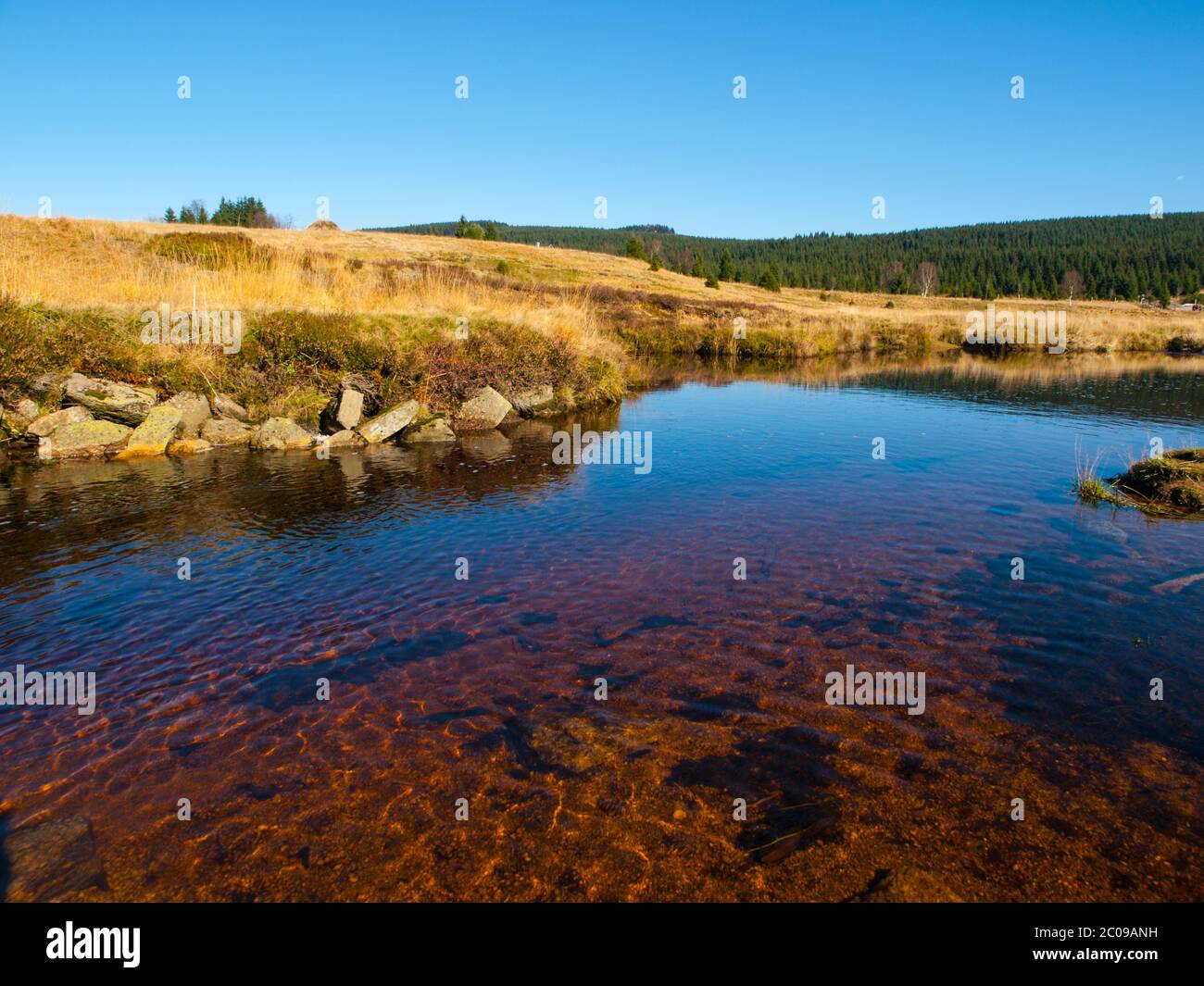 Peat marsh hi-res stock photography and images - Alamy
