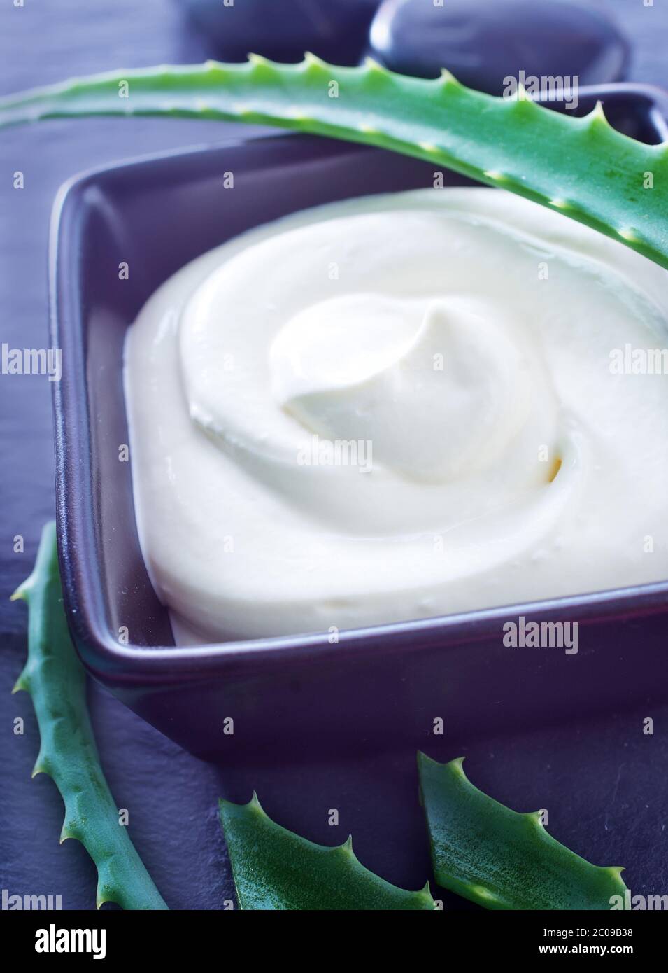 Aloe Vera with Lotion Box Stock Photo - Alamy