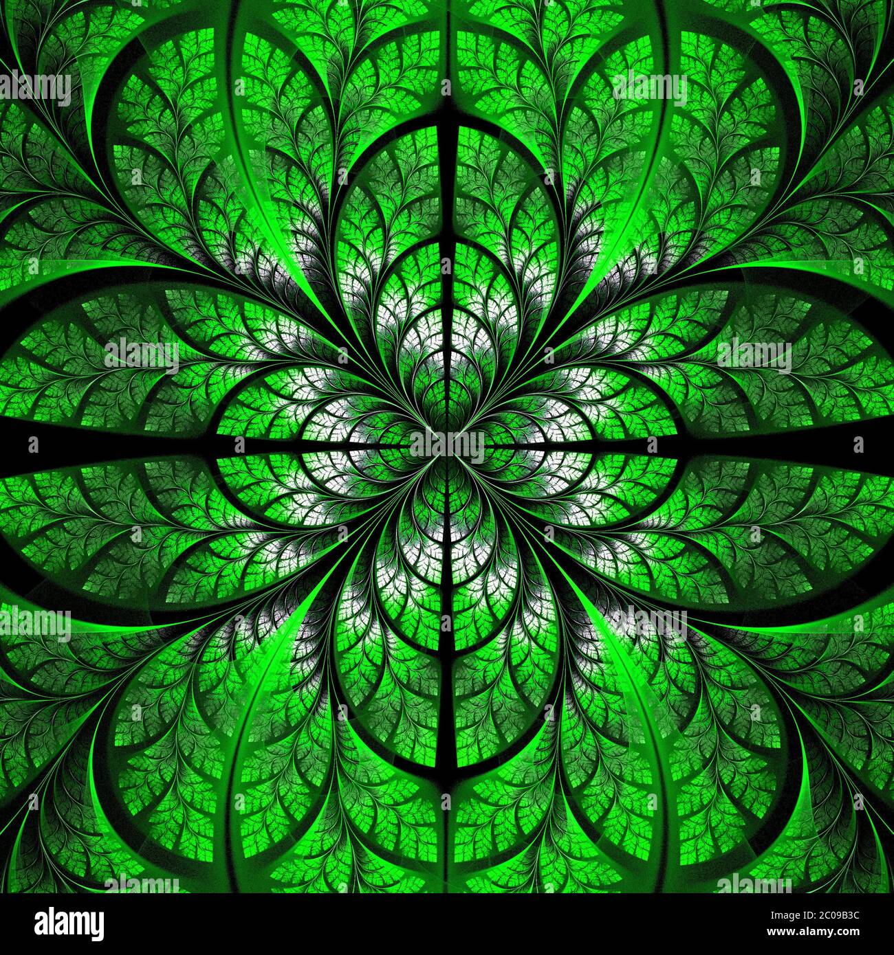 Symmetrical pattern of the leaves in green and black. Collection - tree ...