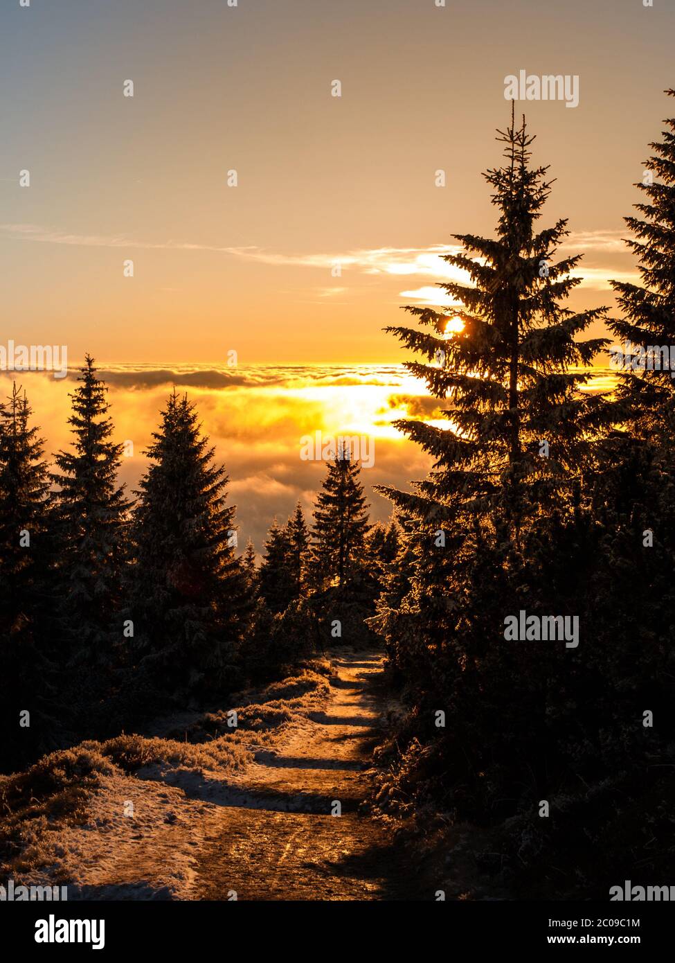 Sunset in the mountains. Path and trees lit up by evening sun Stock ...