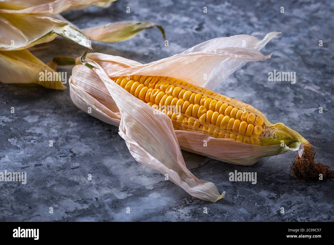 A fresh, ripe ear of corn lying on the table Stock Photo - Alamy