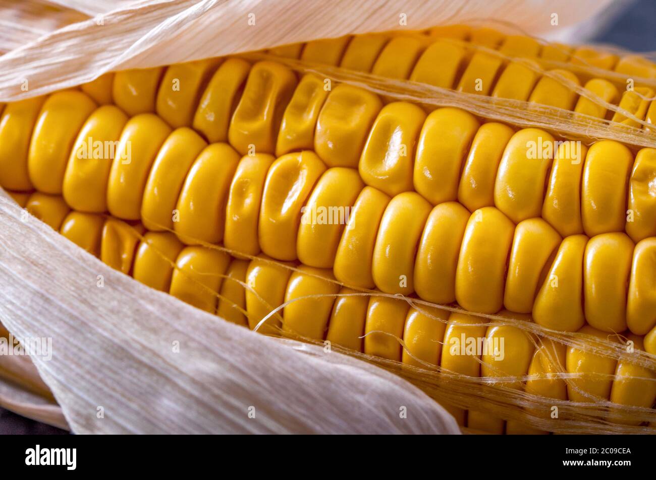 A fresh, ripe ear of corn lying on the table Stock Photo - Alamy