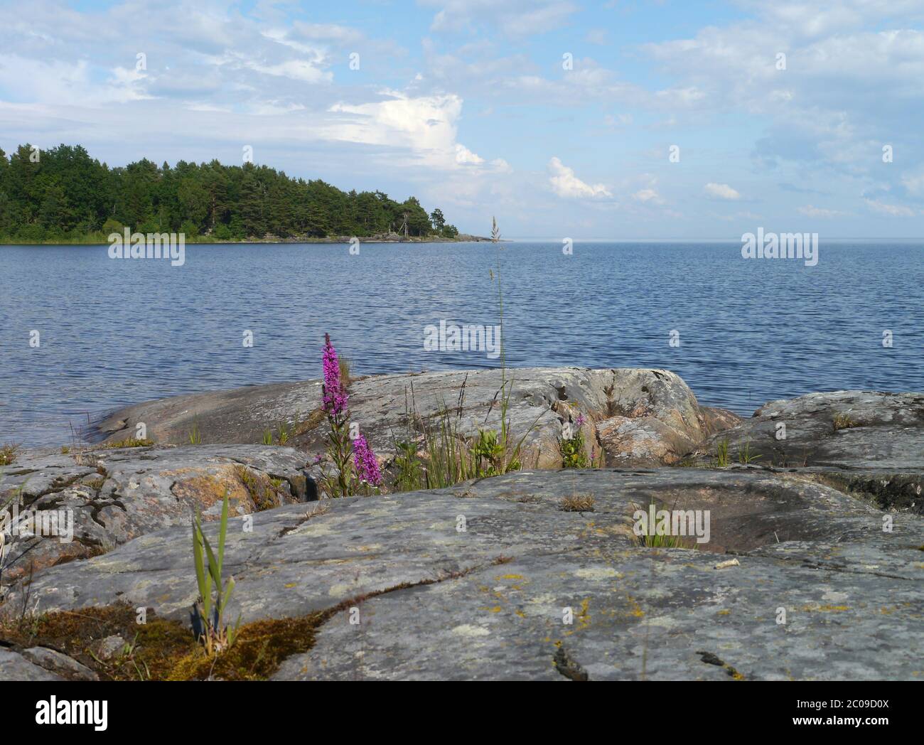 skerry landscape in lake vänern Stock Photo - Alamy