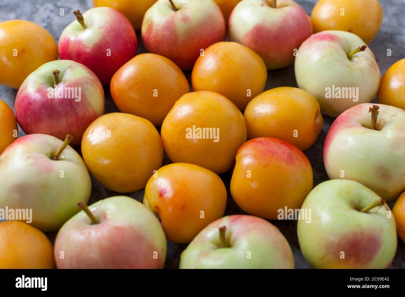 Healthy berries hi-res stock photography and images - Alamy