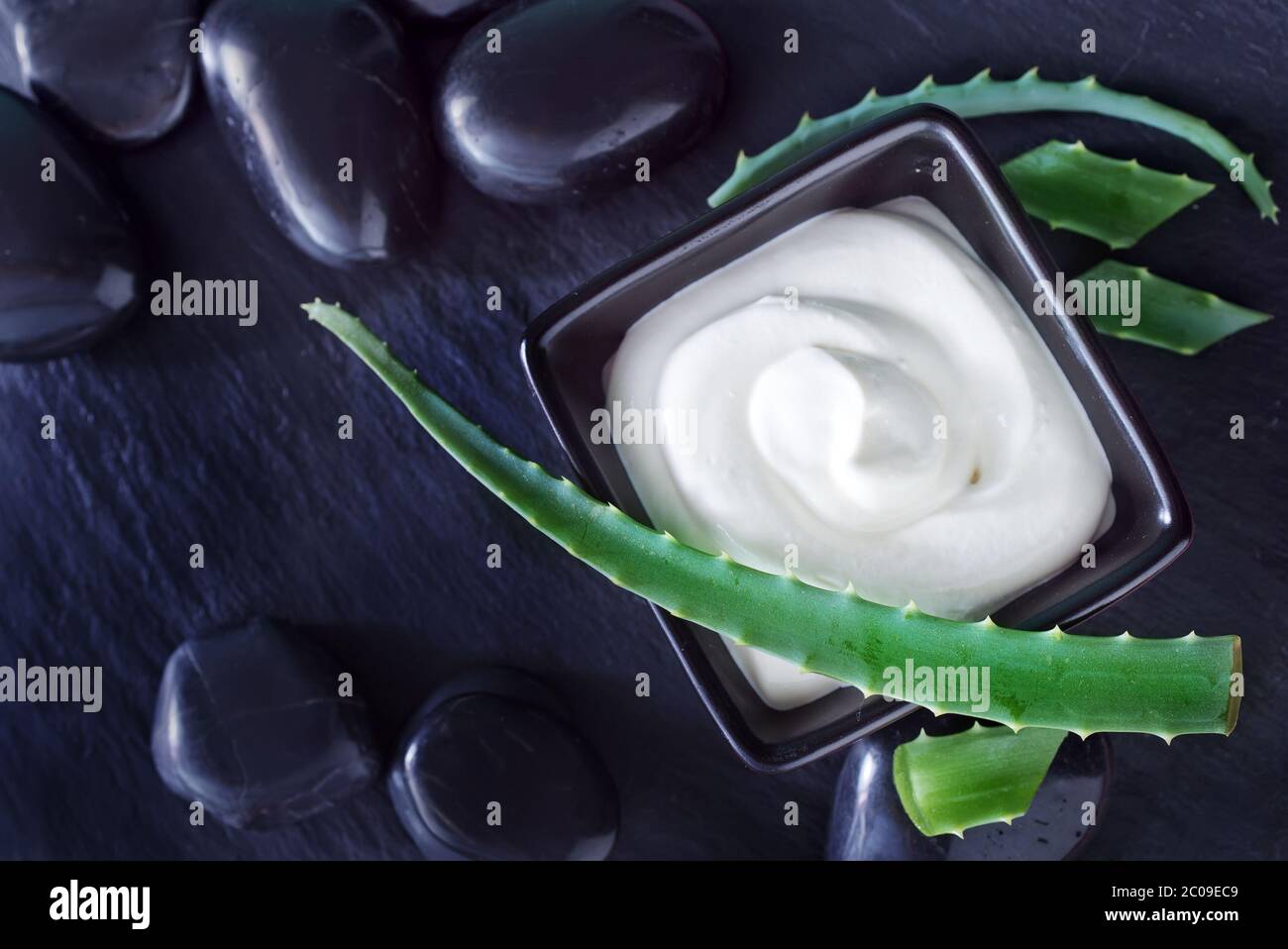 Aloe Vera with Lotion Box Stock Photo - Alamy