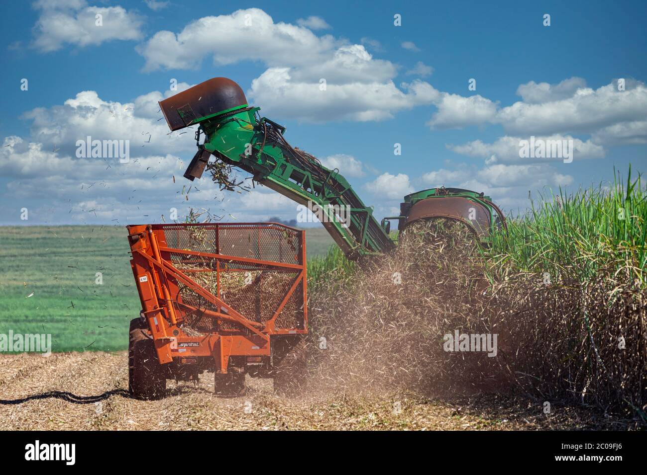 Machine harvesting sugar cane plantation Stock Photo - Alamy