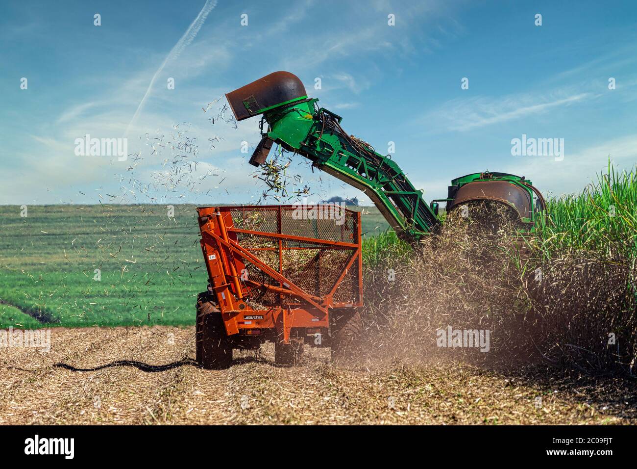 Machine harvesting sugar cane plantation Stock Photo - Alamy