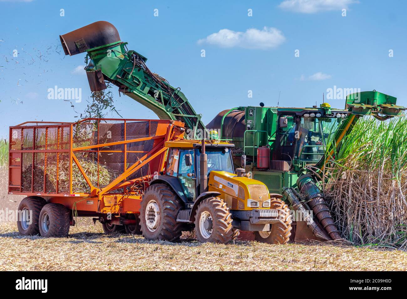 Machine harvesting sugar cane plantation Stock Photo - Alamy