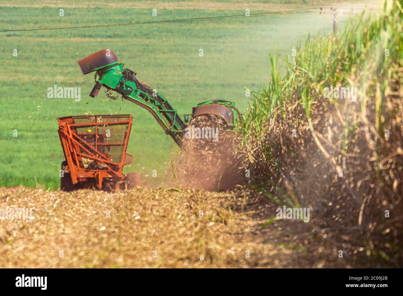 Machine harvesting sugar cane plantation Stock Photo - Alamy