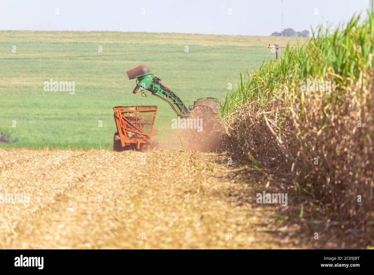 Machine harvesting sugar cane plantation Stock Photo - Alamy