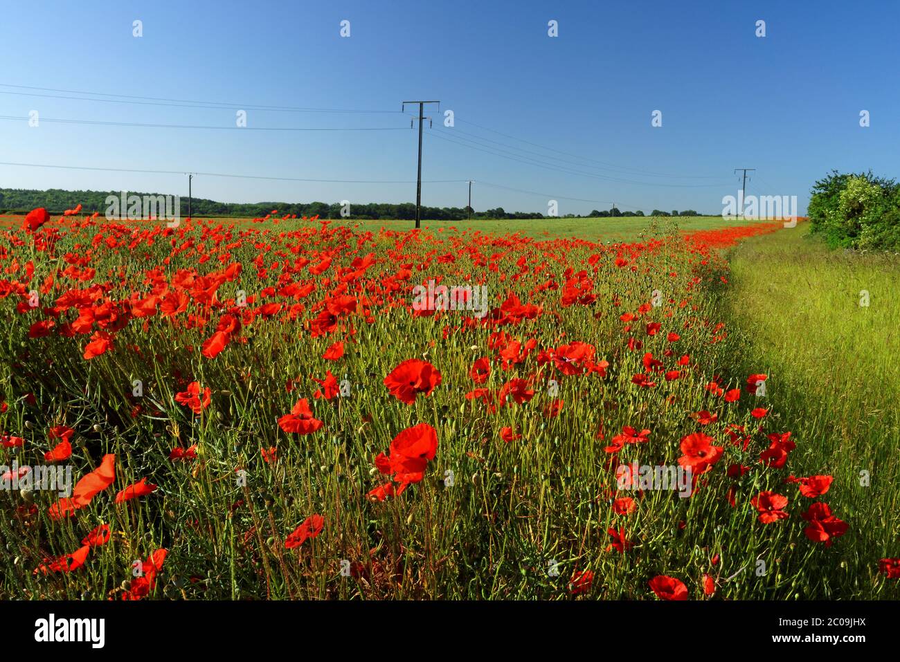 Slade hooton hi-res stock photography and images - Alamy