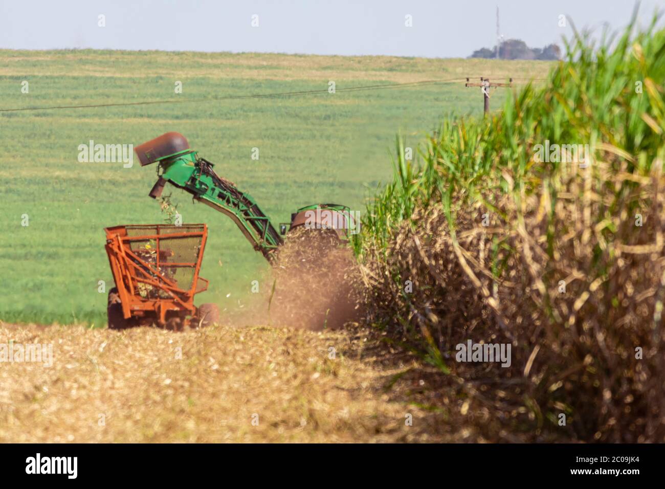 Machine harvesting sugar cane plantation Stock Photo - Alamy
