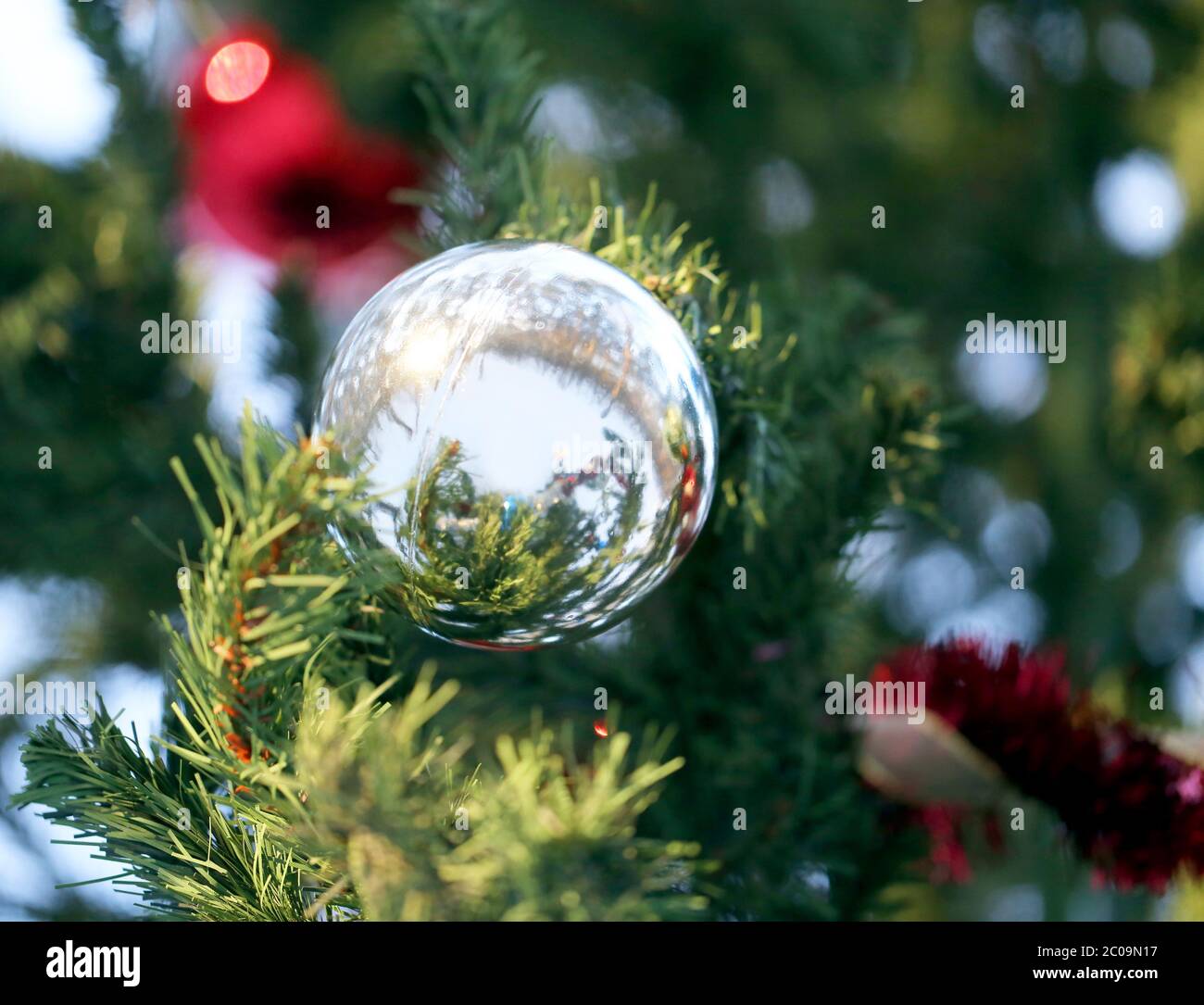 Delightful tree hi-res stock photography and images - Alamy