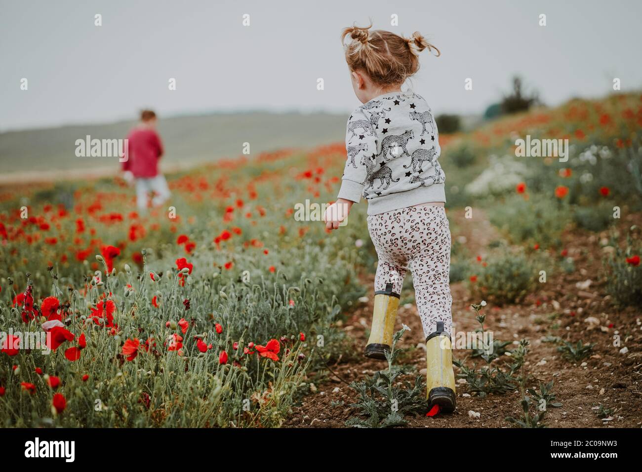 Children playing in poppy field hi-res stock photography and images - Alamy